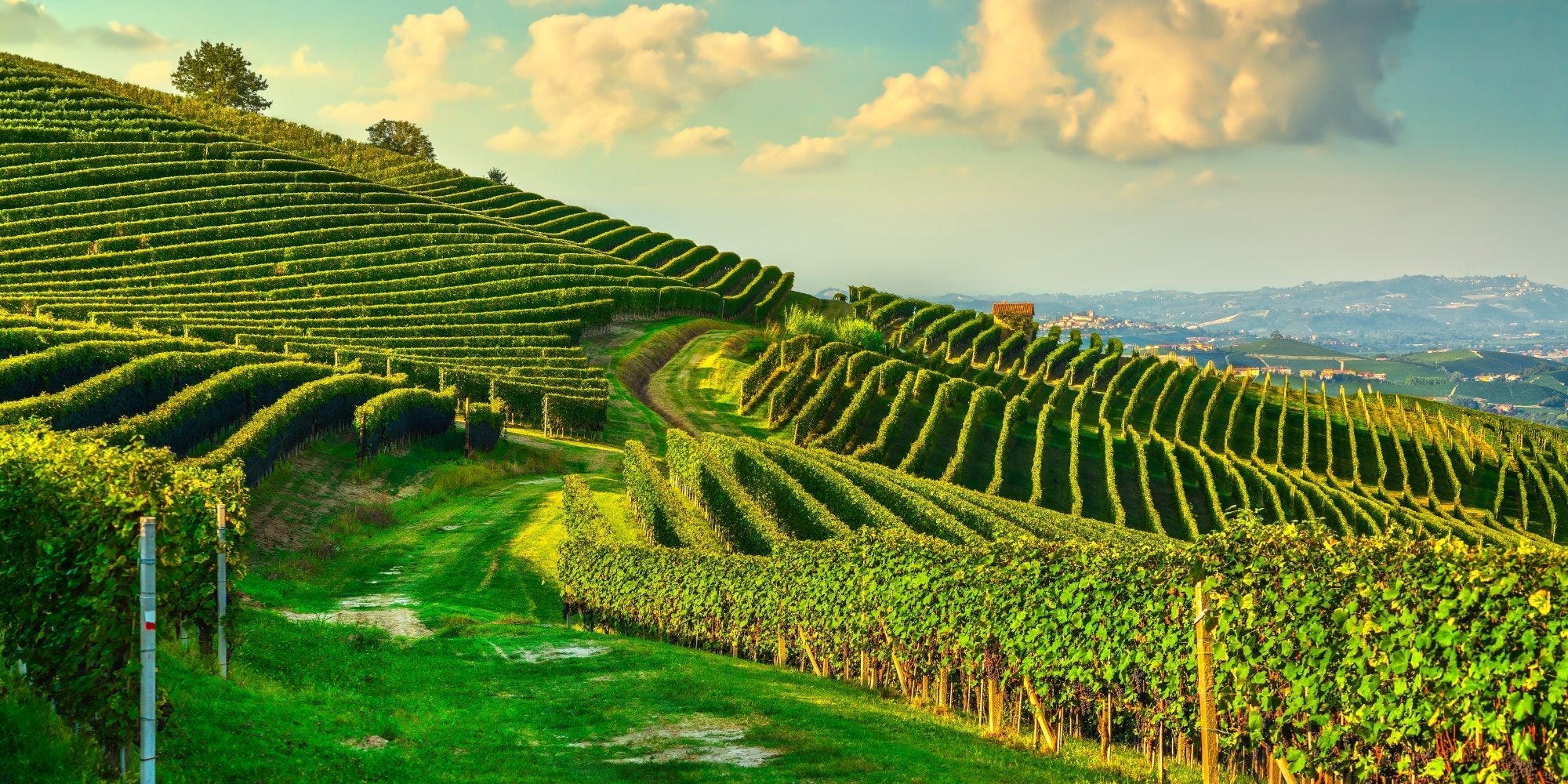 Tenuta Bricco San Giorgio